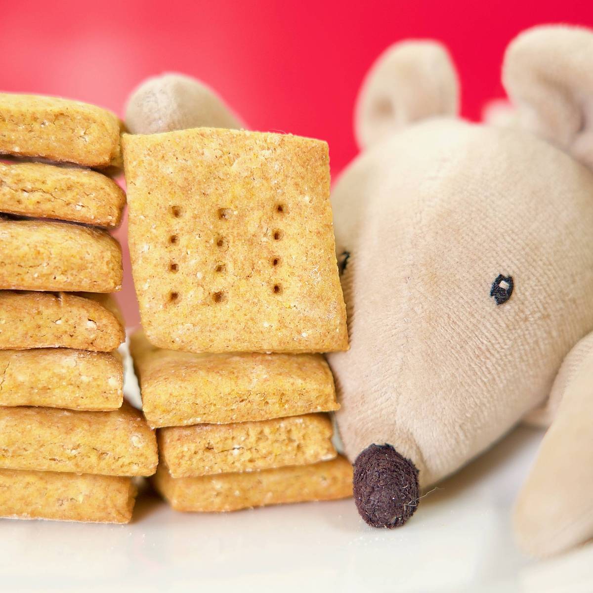 Multi-grain Crackers - Lively Days